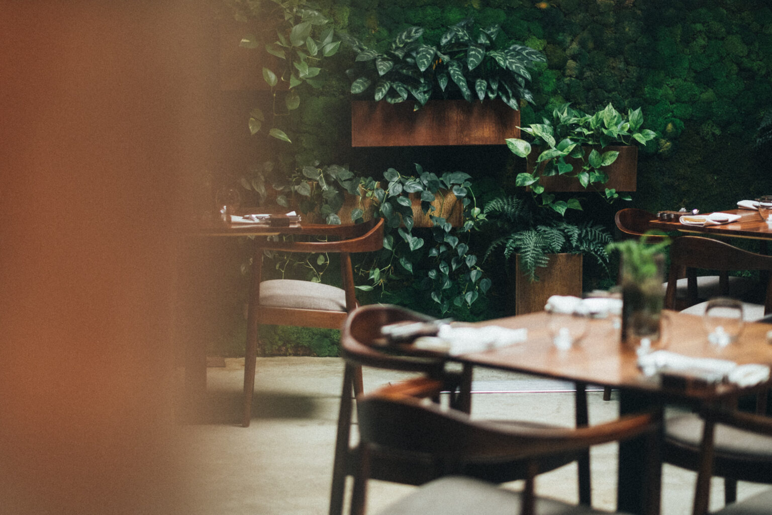 Alchemilla – Unique, Imaginative Fine Dining